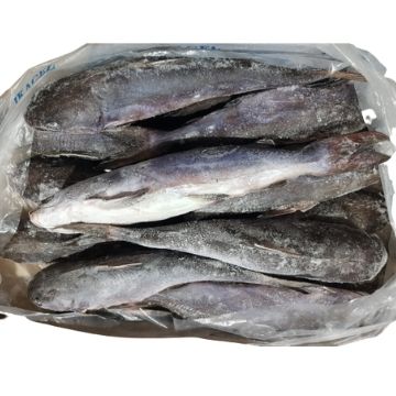 MACHOIRON - EUROCIEL